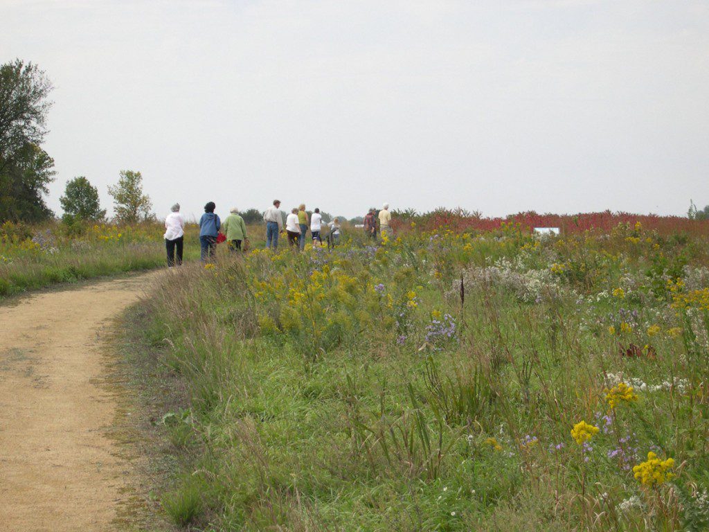 Birch Coulee Battlefield State Historic Site - Minnesota River Valley ...