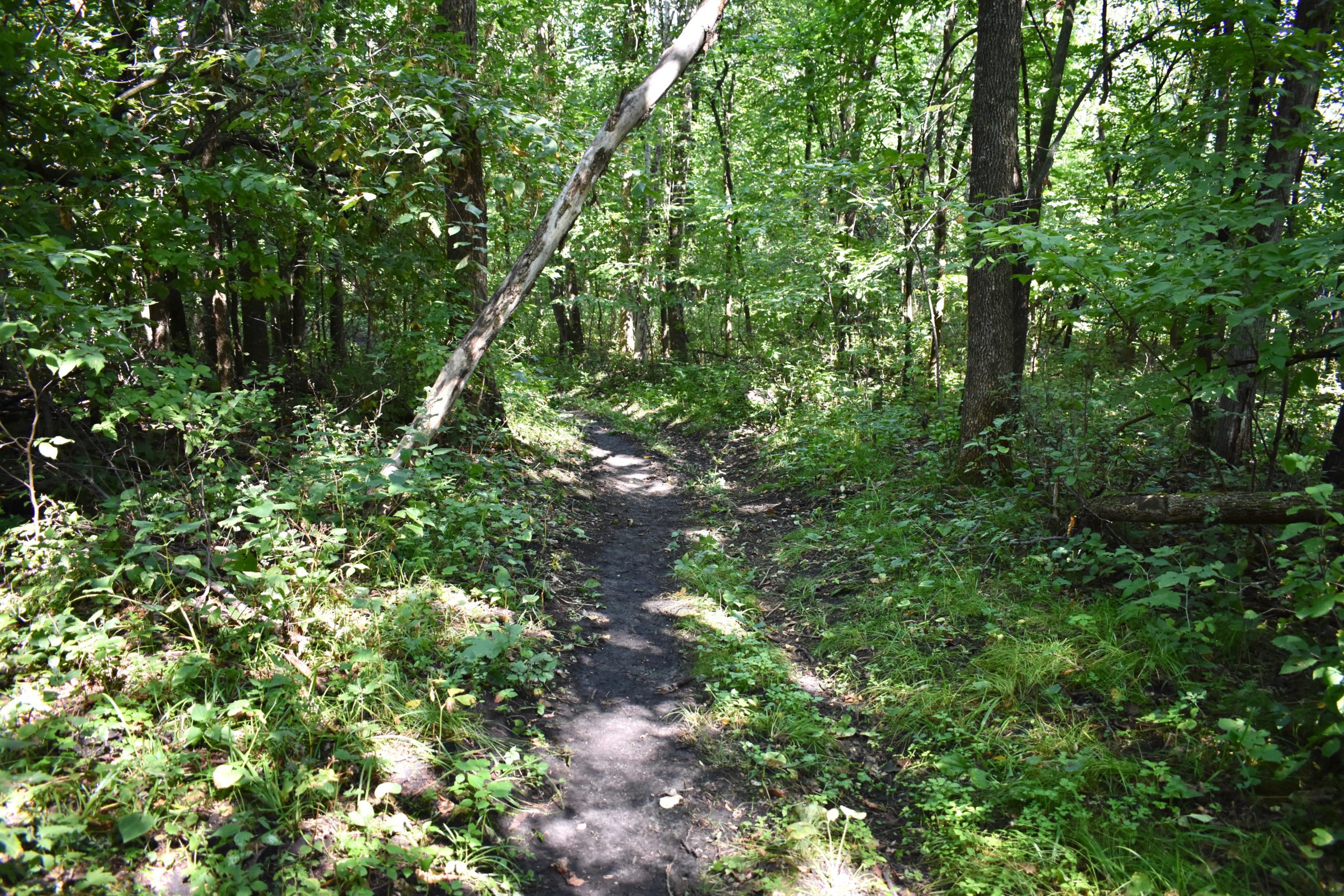 Minnesota River Valley Scenic Byway