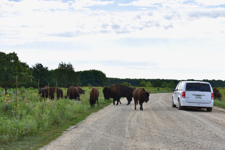 Minneopa State Park - Minnesota River Valley Scenic Byway