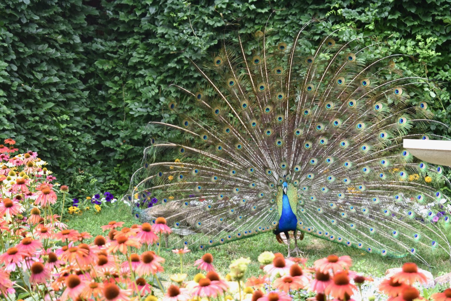 August Schell Brewery Museum - Minnesota River Valley Scenic Byway